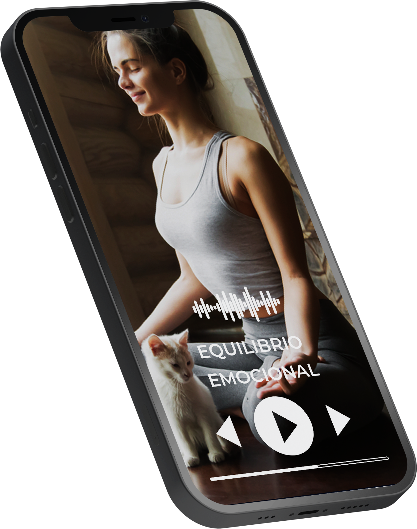 Vivendo a Gratidão (masterclass) - O SIM Transforma